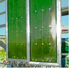 Bio Intelligent Quotient (BIQ) House, Germany | CECR